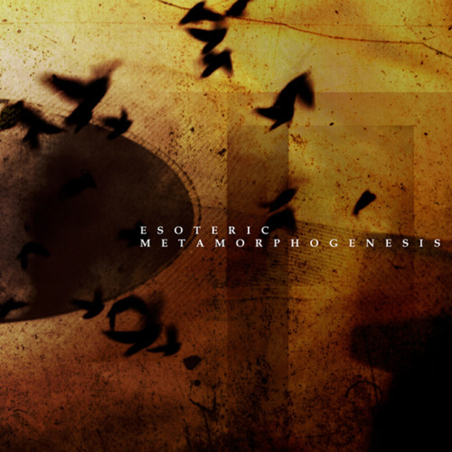 Official Website - Esoteric